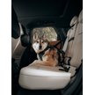 THULE Cappy Dog Car Harness, Large: 24.5 to 34.5-in chest - Chewy.com