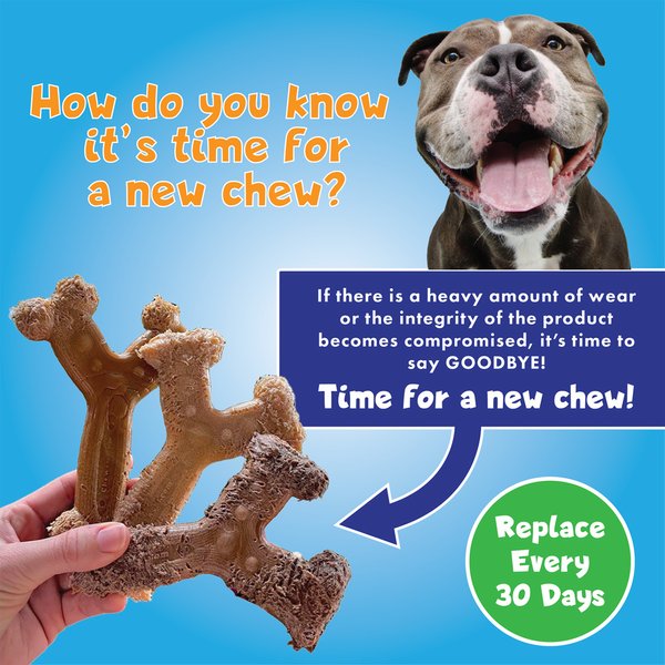 CHEW'EMS Y Bone Dog Toy, Bacon, Small - Chewy.com