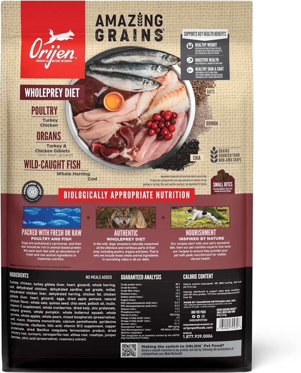 ORIJEN Amazing Grains High-Protein Small Breed Dry Dog Food, 10-lb bag ...