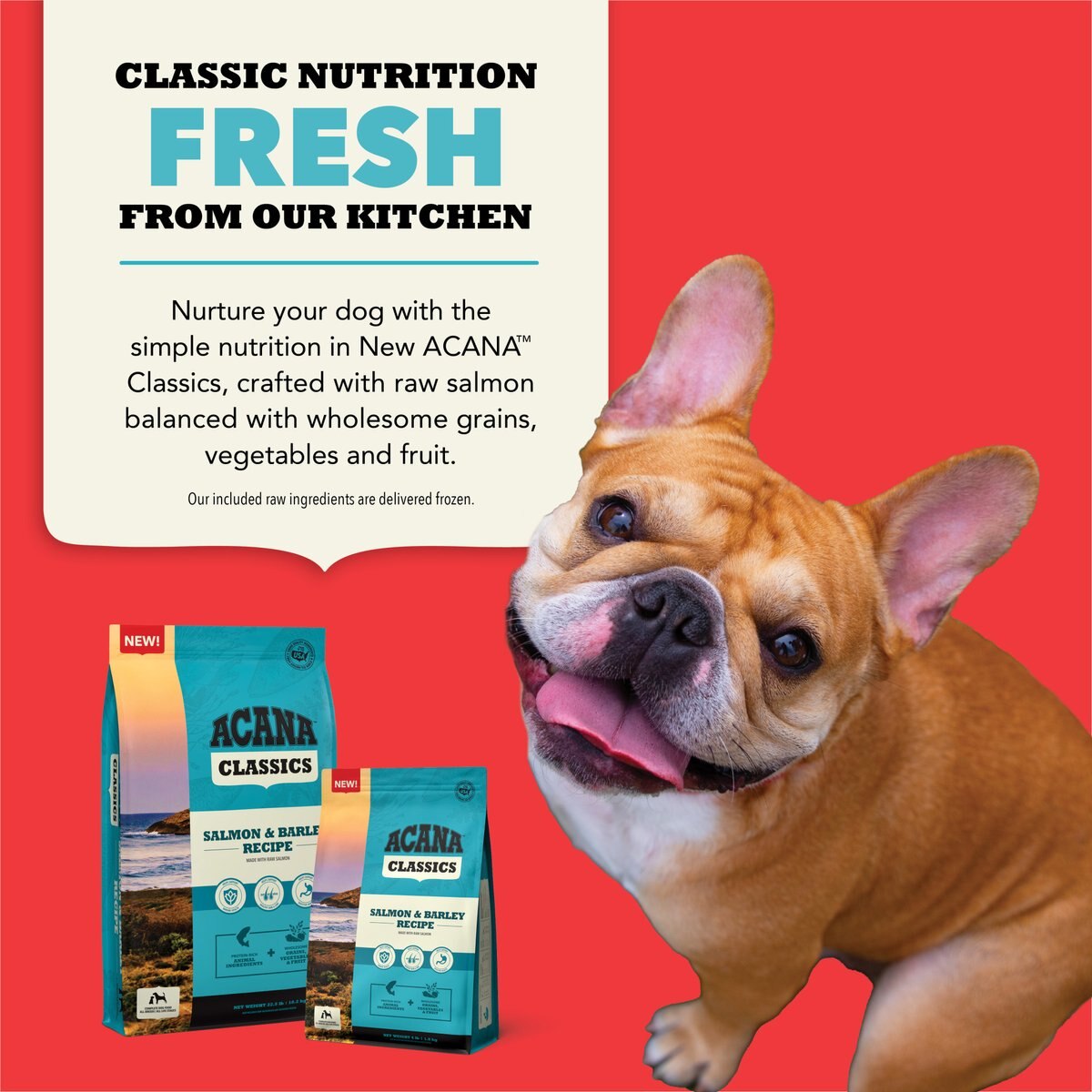 ACANA Classics Salmon & Barley Dry Dog Food, 4-lb bag - Chewy.com