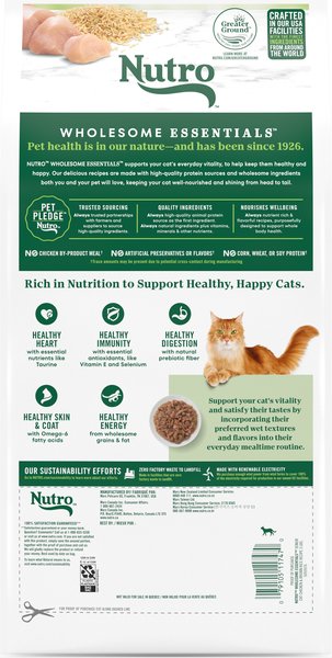 NUTRO Wholesome Essentials Chicken & Brown Rice Recipe Senior Dry Cat Food, 3-lb bag - Chewy.com
