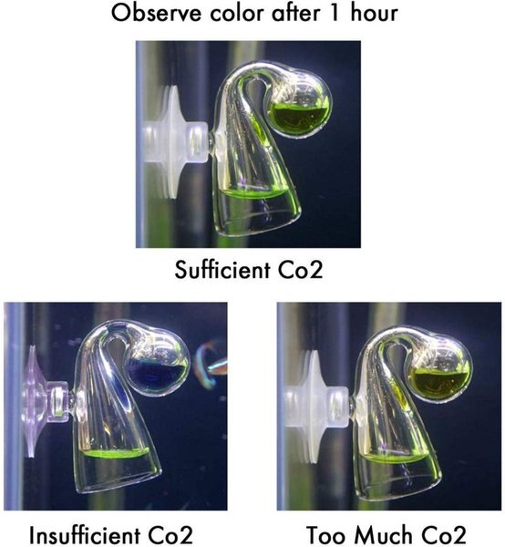 SUNGROW Glass Drop Checker with Solution for Betta Fish Tank Plants ...