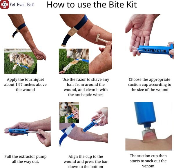 PET EVAC PAK Rattlesnake Bite Kit for Dogs & People - Chewy.com