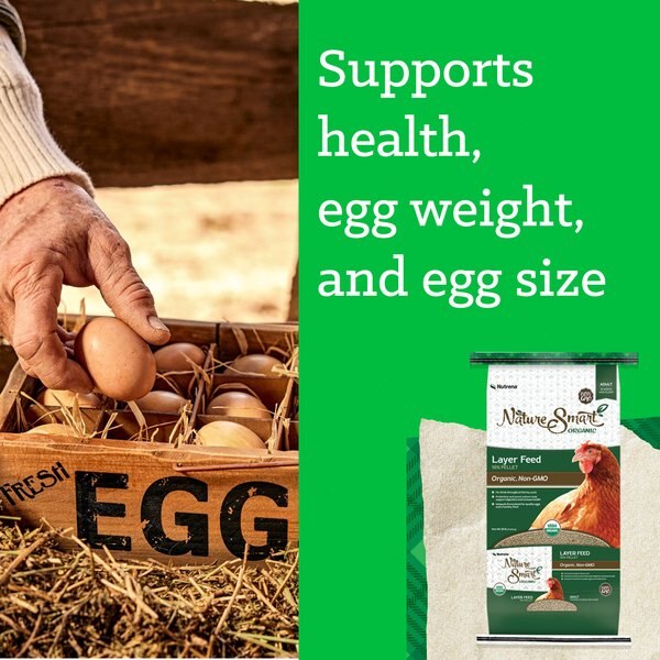NUTRENA Nature Smart Organic Layer Feed Layer 16% Protein Pellet ...