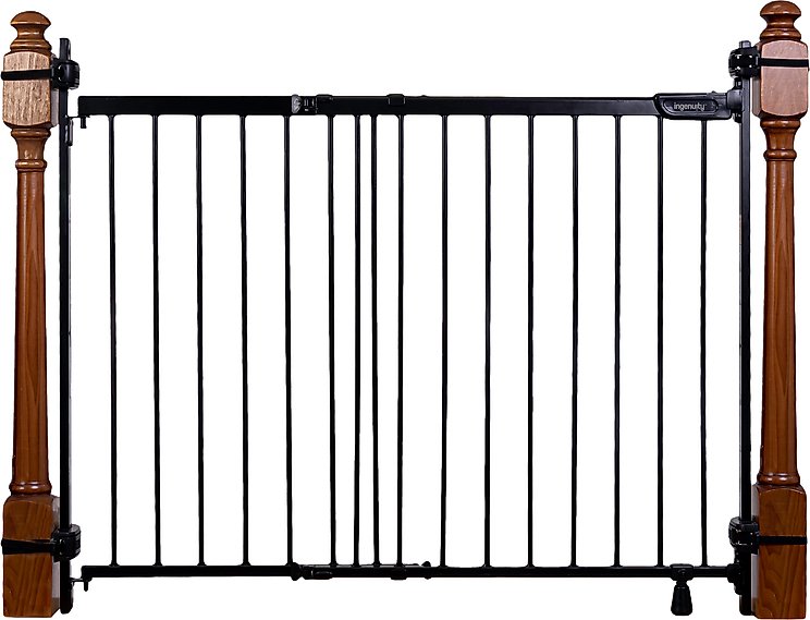 Hardware Wall Mounted Dog Gates (Free Shipping) | Chewy