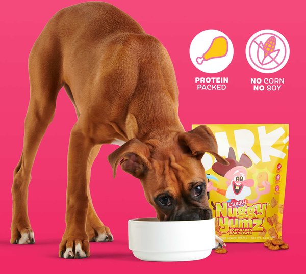BARK Clucky Nuggy Yumz Chicken Nugget Recipe Soft Baked Dog Treats, 24 ...