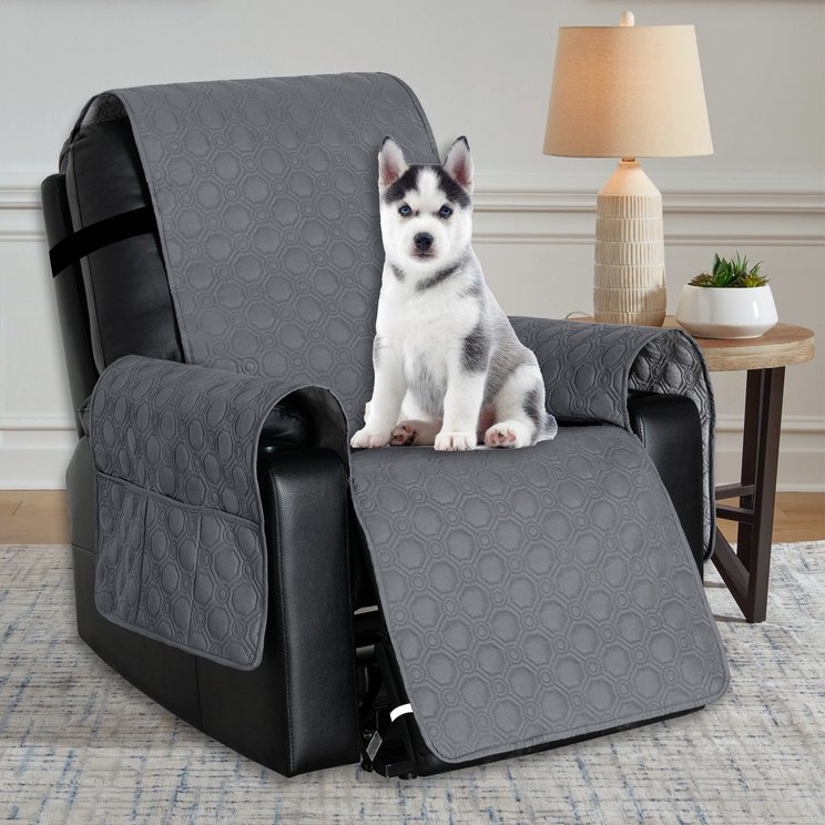 Pet Couch & Furniture Protectors - Free shipping | Chewy