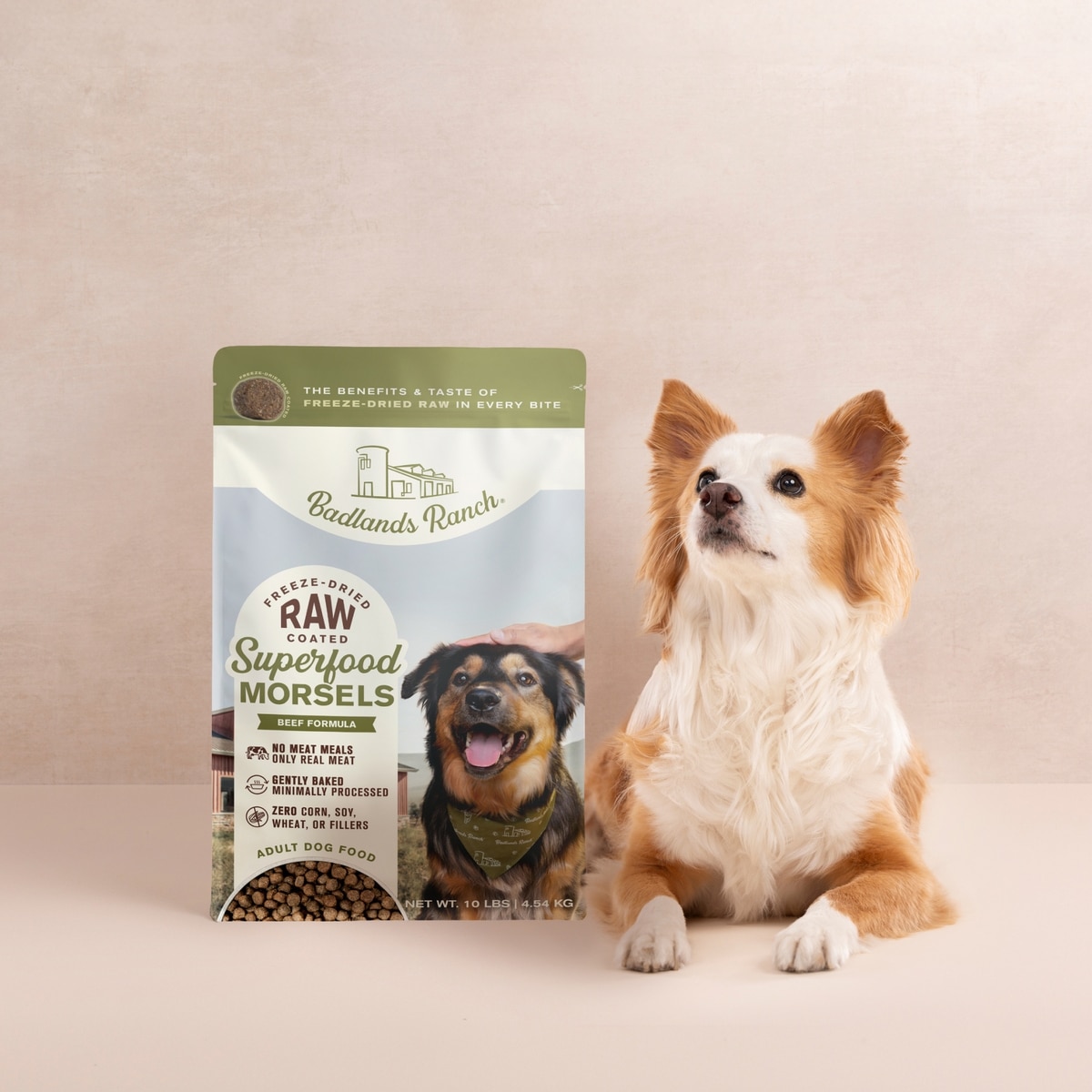 BADLANDS RANCH Superfood Complete Raw Coated Morsels Beef Dry Dog Food ...