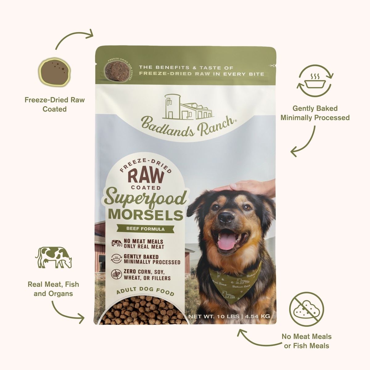BADLANDS RANCH Superfood Complete Raw Coated Morsels Beef Dry Dog Food ...