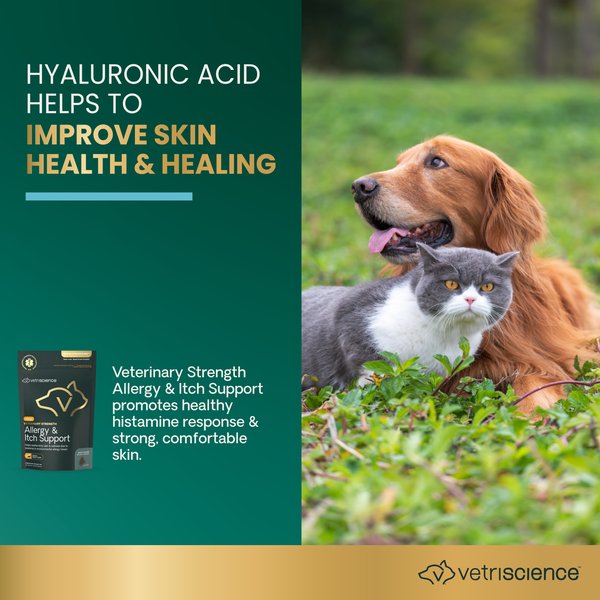 VETRISCIENCE Veterinary Strength Allergy & Itch Support Derma Strength ...