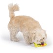 HUXLEY & KENT Tiny Tuff Sour Scratch Dog Toy, Yellow/Green/Red, One Size - Chewy.com