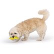 HUXLEY & KENT Tiny Tuff Sour Scratch Dog Toy, Yellow/Green/Red, One Size - Chewy.com
