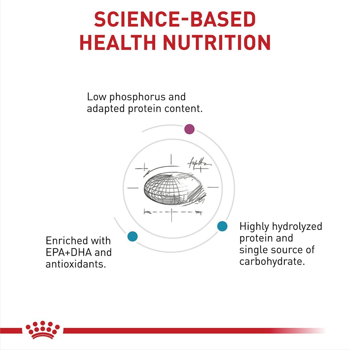 ROYAL CANIN VETERINARY DIET Multifunction Renal Support + Hydrolyzed ...