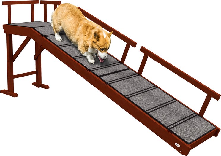 Dog Ramps - Free shipping | Chewy