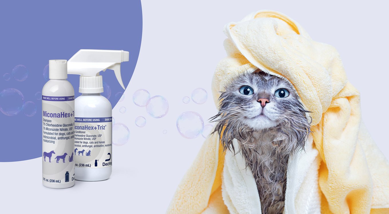 MICONAHEX+TRIZ Mousse for Dogs & Cats, 7.1-oz bottle - Chewy.com