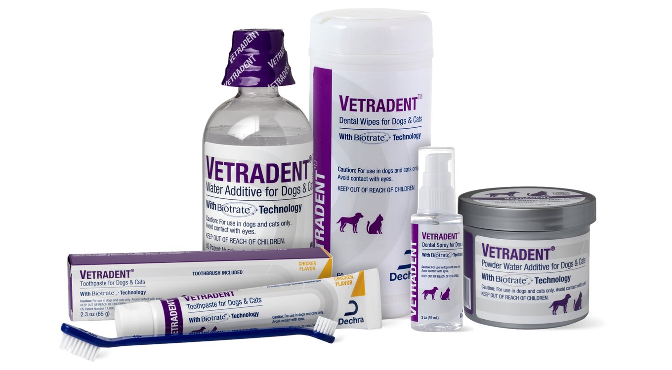 VETRADENT Dog & Cat Dental Water Additive, 17-fl oz bottle - Chewy.com