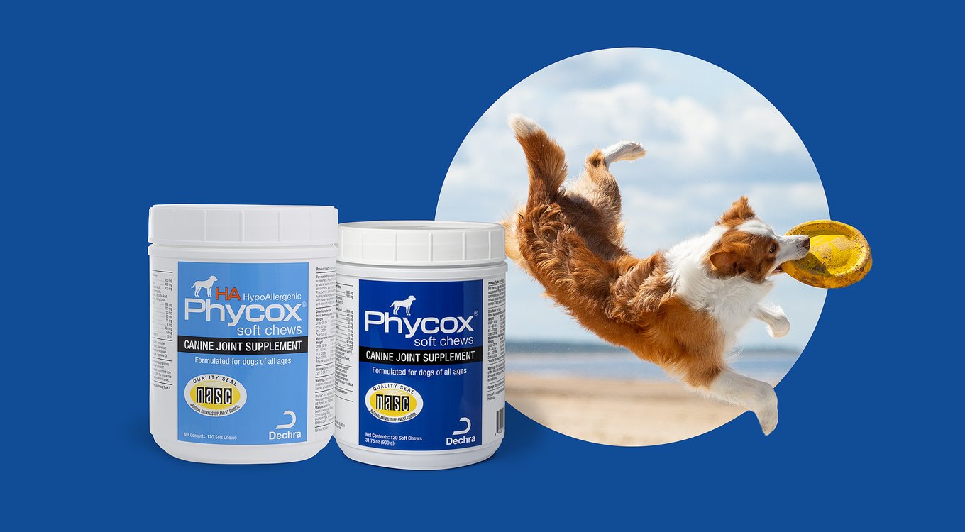 PHYCOX MAX HypoAllergenic HA Soft Chews Joint Supplement for Dogs, 90 ...