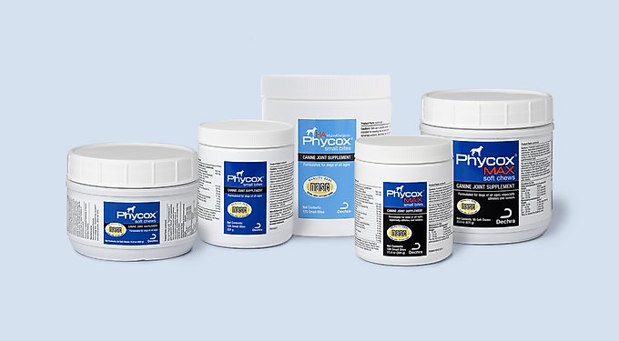 PHYCOX HypoAllergenic HA Small Bites Soft Chews Joint Supplement for ...