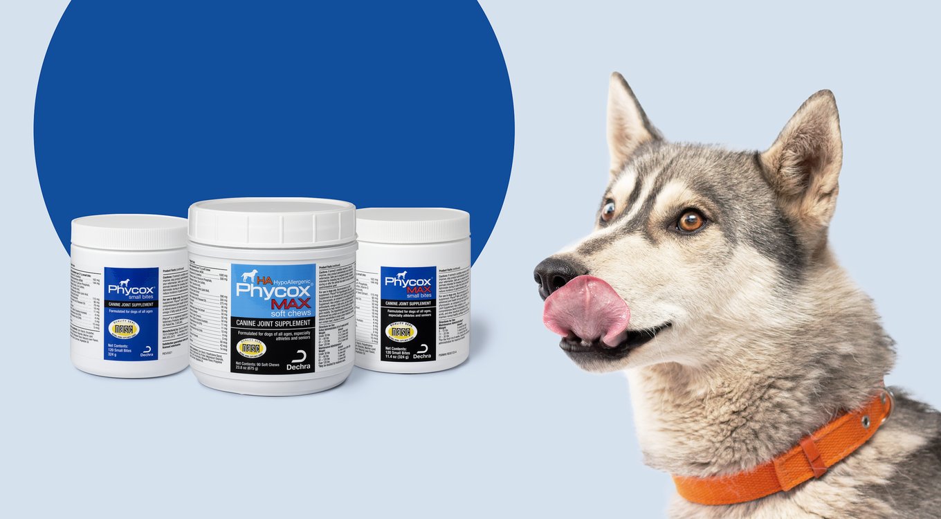 PHYCOX MAX HypoAllergenic HA Soft Chews Joint Supplement for Dogs, 90 ...