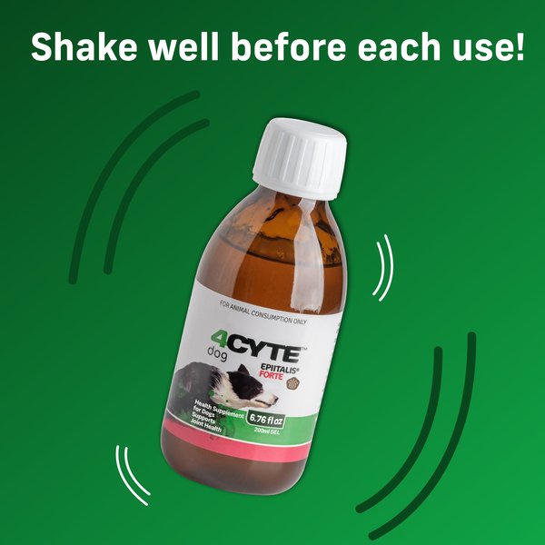 4CYTE Epiitalis Forte Liquid Joint Supplement for Dogs, 200-mL bottle ...