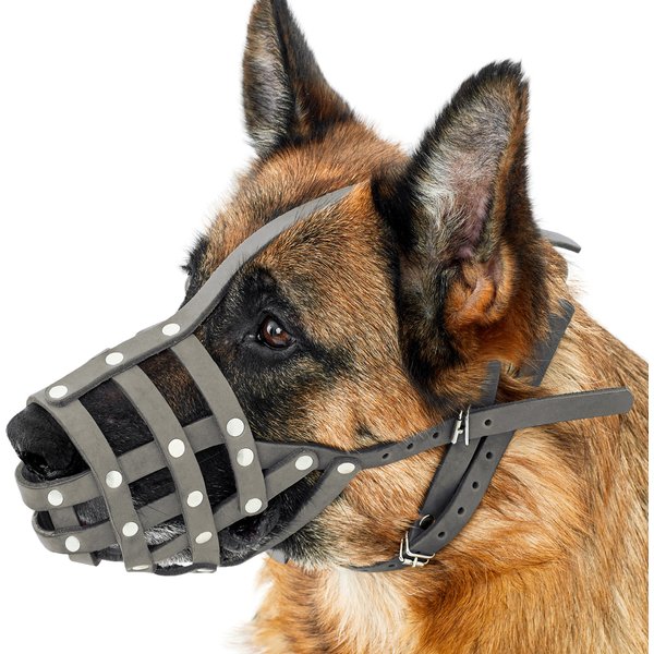 COLLARDIRECT German Shepherd Leather Dog Muzzle, Grey, Medium - Chewy.com