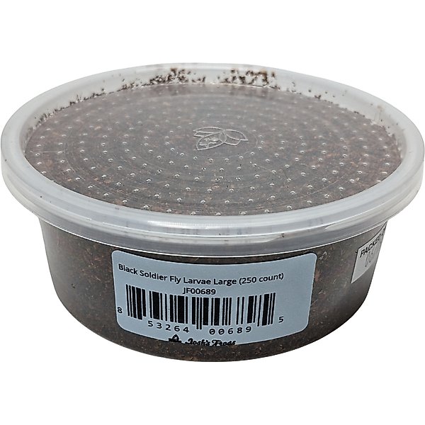 PREDATOR FOODS Live Mealworms, Large, 250 count - Chewy.com