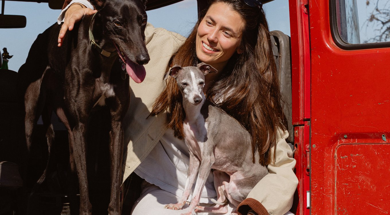 MAEV Hip & Joint Human-Grade Raw Frozen Beef Dog Food, 5-lb bag - Chewy.com