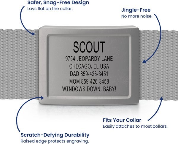 DOG ID Laser Engraved Stainless Steel Silent Personalized Dog ID Tag ...