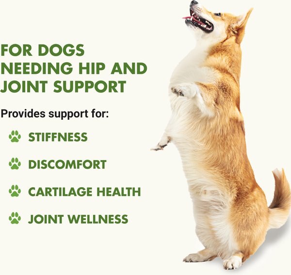 LIQUID-VET Hip & Joint Support Chicken Flavored Liquid Joint Supplement ...
