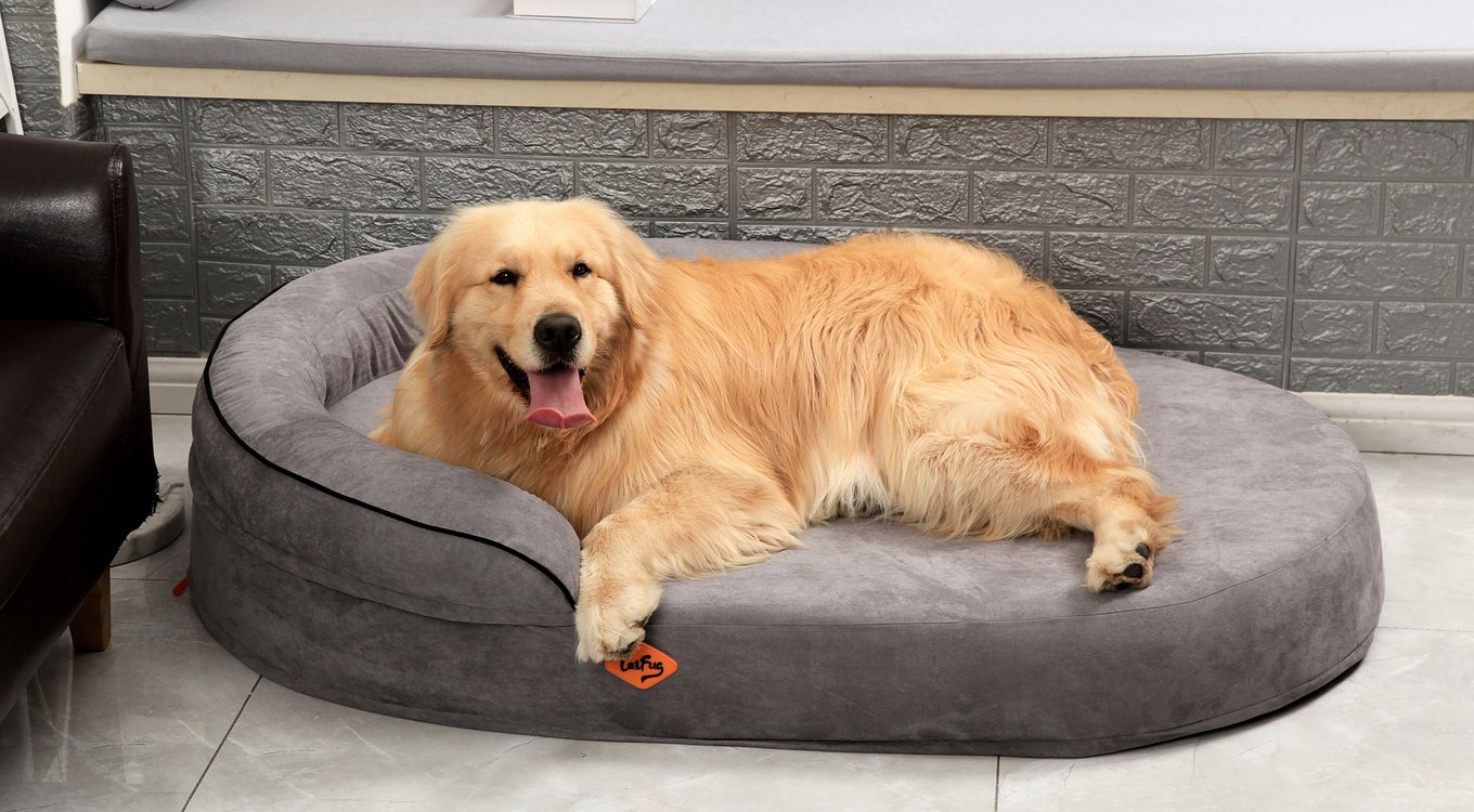LAIFUG Memory Foam Orthopedic Oval Dog Bed, Chocolate, Medium - Chewy.com