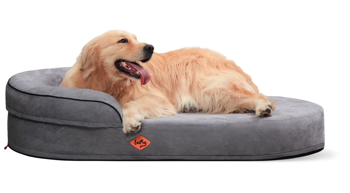 LAIFUG Memory Foam Orthopedic Oval Dog Bed, Chocolate, Medium - Chewy.com