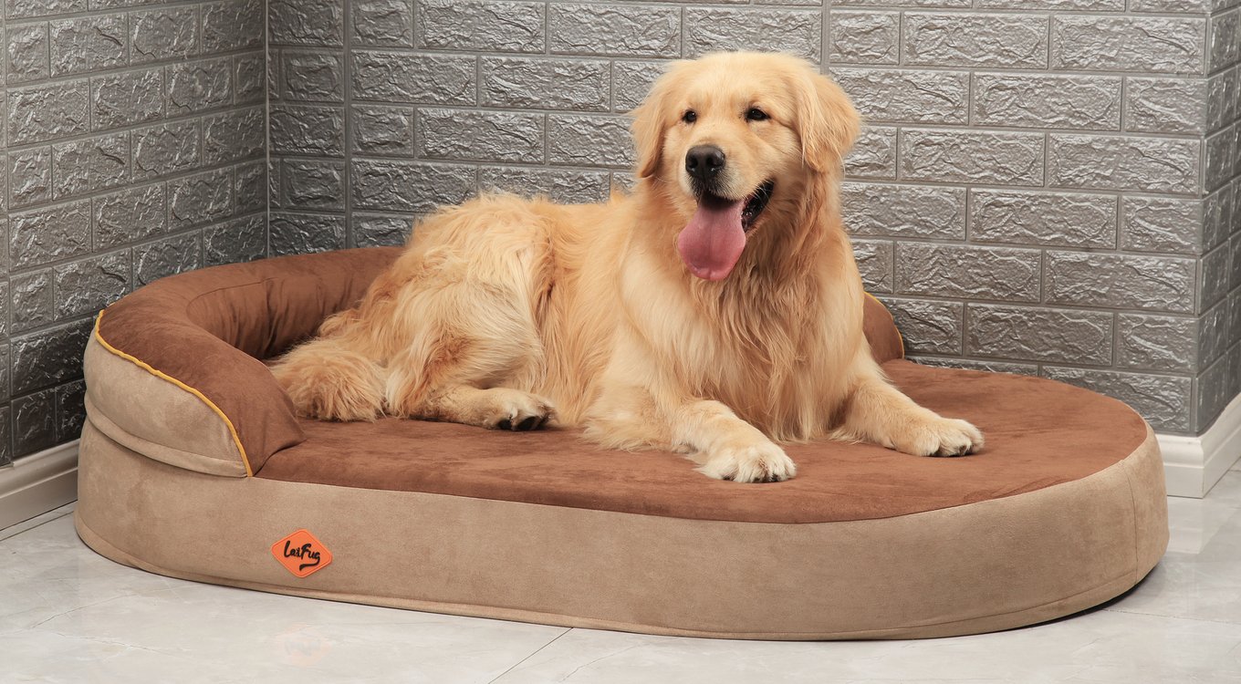 LAIFUG Memory Foam Orthopedic Oval Dog Bed, Chocolate, Medium - Chewy.com