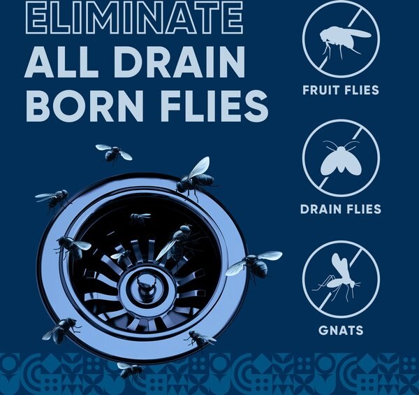 ECOSTRONG Drain & Fruit Fly Eliminator, 32-fl oz jug - Chewy.com