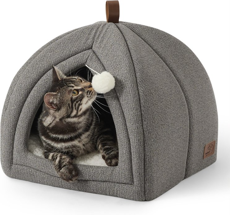 Enclosed & Covered Cat Beds - Low Prices (Free Shipping) | Chewy