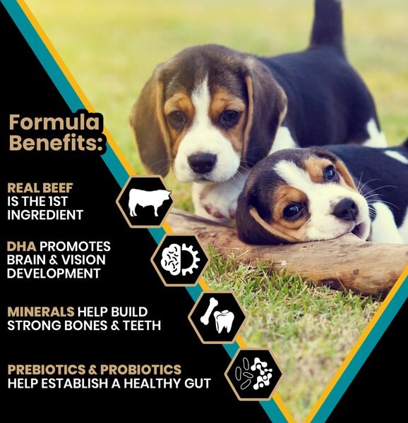 VICTOR Classic Hi-Pro Plus Small & Medium Breed Puppy Dry Dog Food, 15 ...