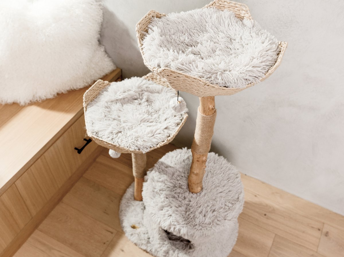 MAU Cento 46-in Modern Wooden Cat Tree & Condo, Gray - Chewy.com