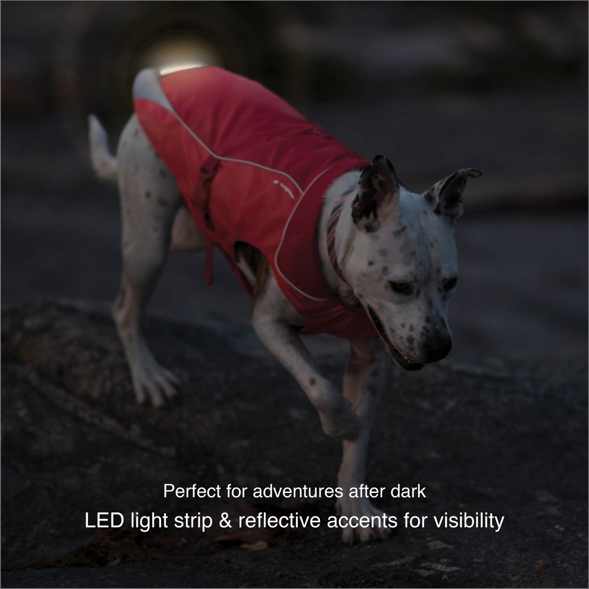 KURGO North Country Dog Coat, Red, Large - Chewy.com