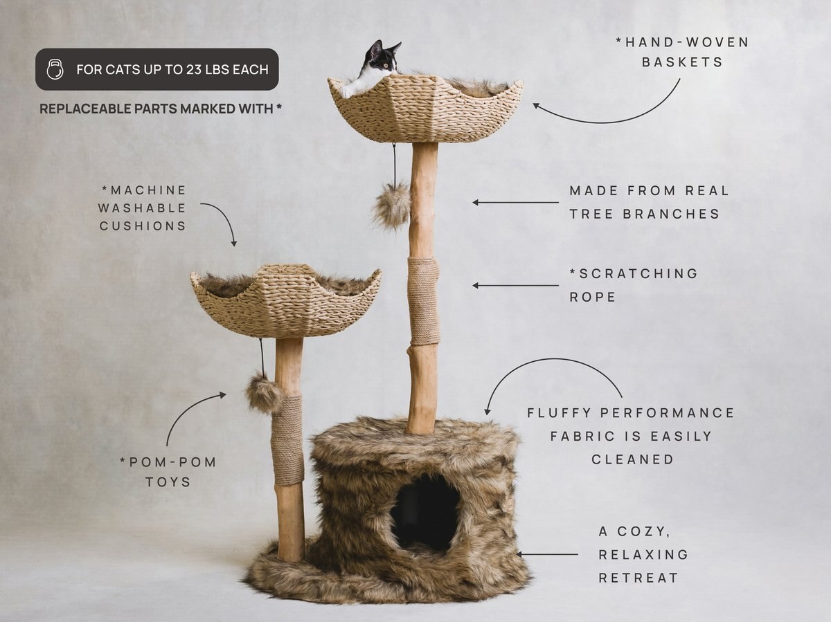 MAU Cento 46-in Modern Wooden Cat Tree & Condo, Brown - Chewy.com