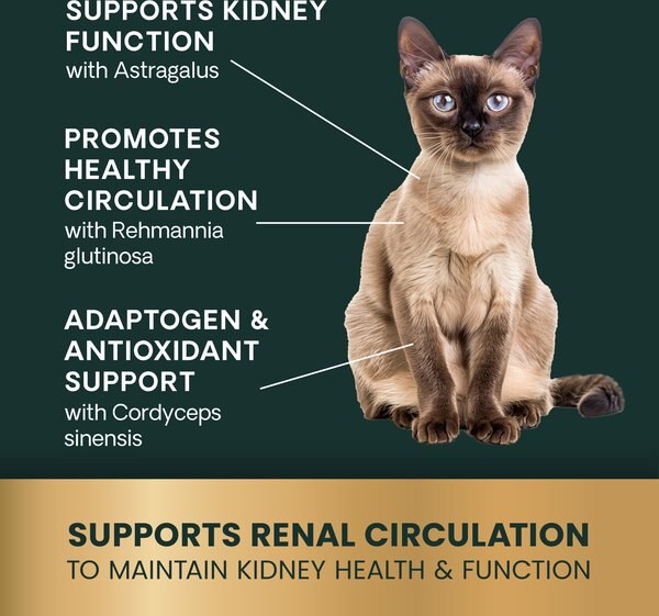 VETRISCIENCE Veterinary Strength Kidney Health Renal Essentials Pro ...