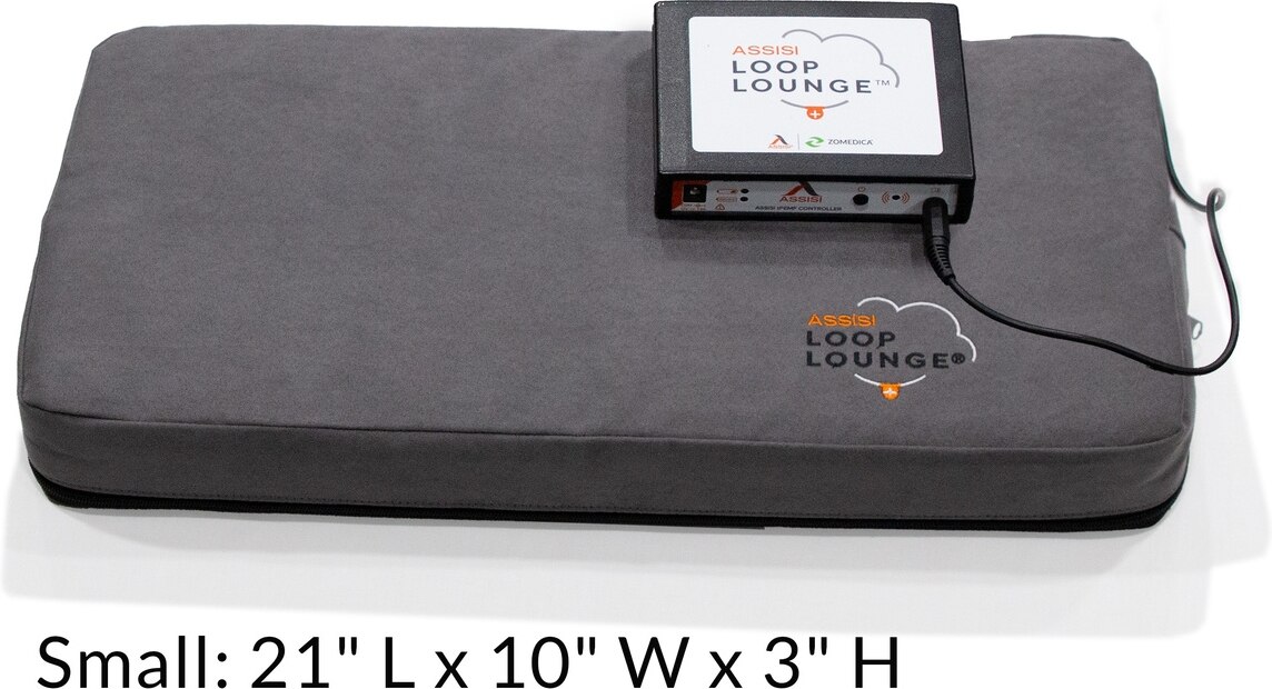 ASSISI ANIMAL HEALTH Loop Lounge tPEMF Dog & Cat System, Small - Chewy.com