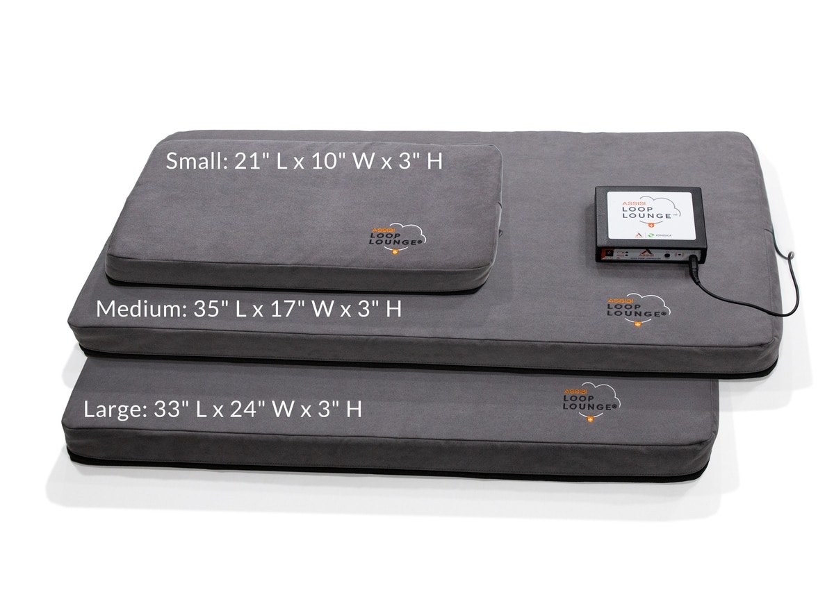 ASSISI ANIMAL HEALTH Loop Lounge tPEMF Dog & Cat System, Small - Chewy.com