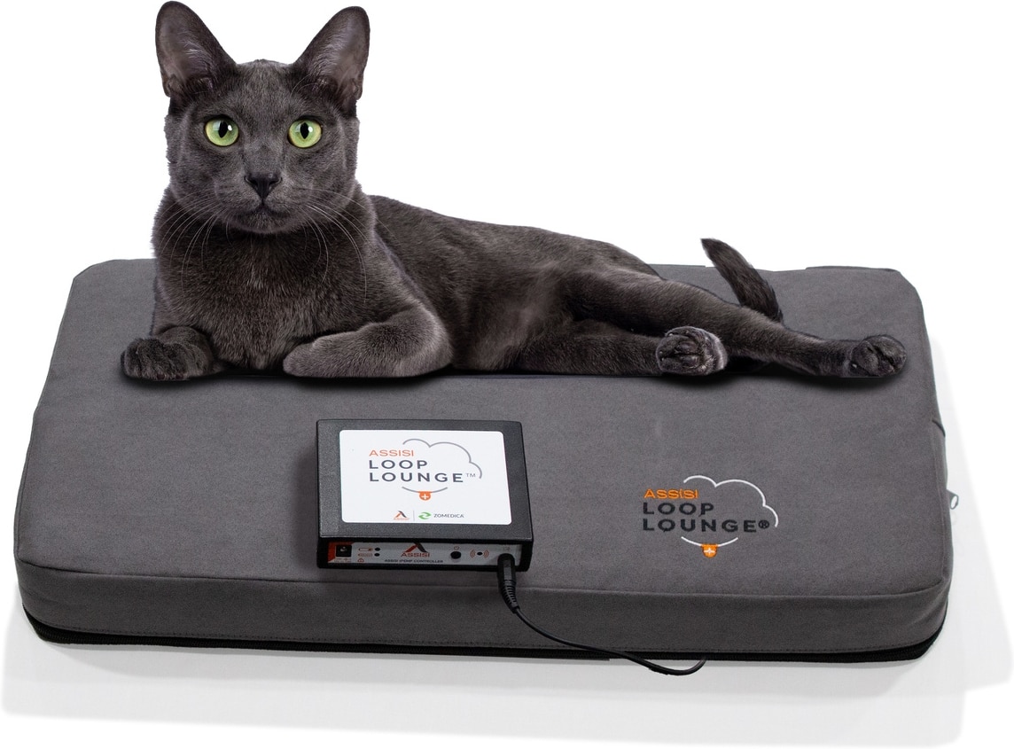 ASSISI ANIMAL HEALTH Loop Lounge tPEMF Dog & Cat System, Small - Chewy.com