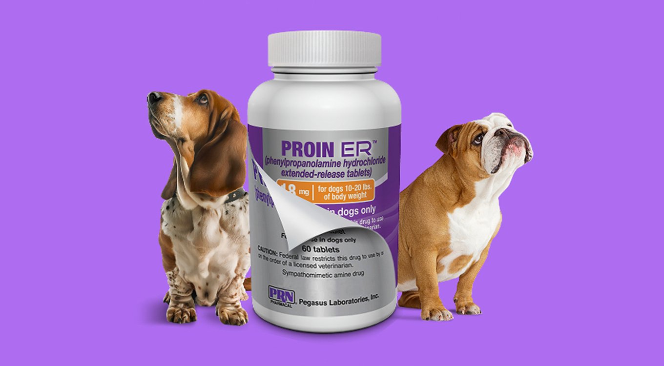 PROIN ER (phenylpropanolamine hydrochloride extended-release tablets ...