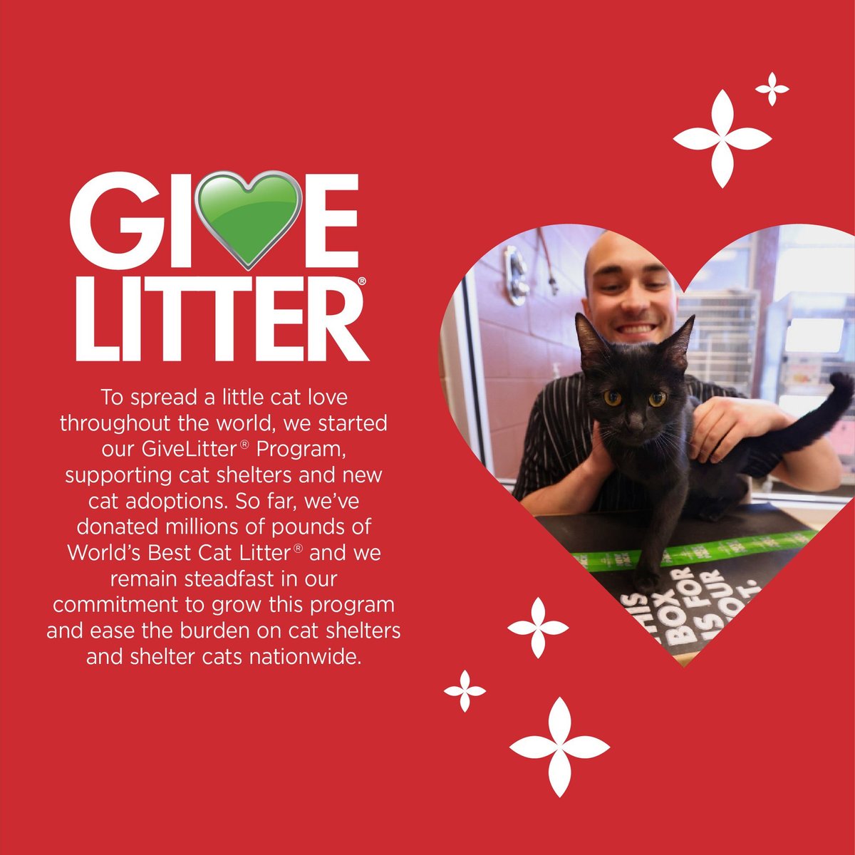 WORLD'S BEST Multi-Cat Unscented Clumping Corn Cat Litter, 8-lb bag ...