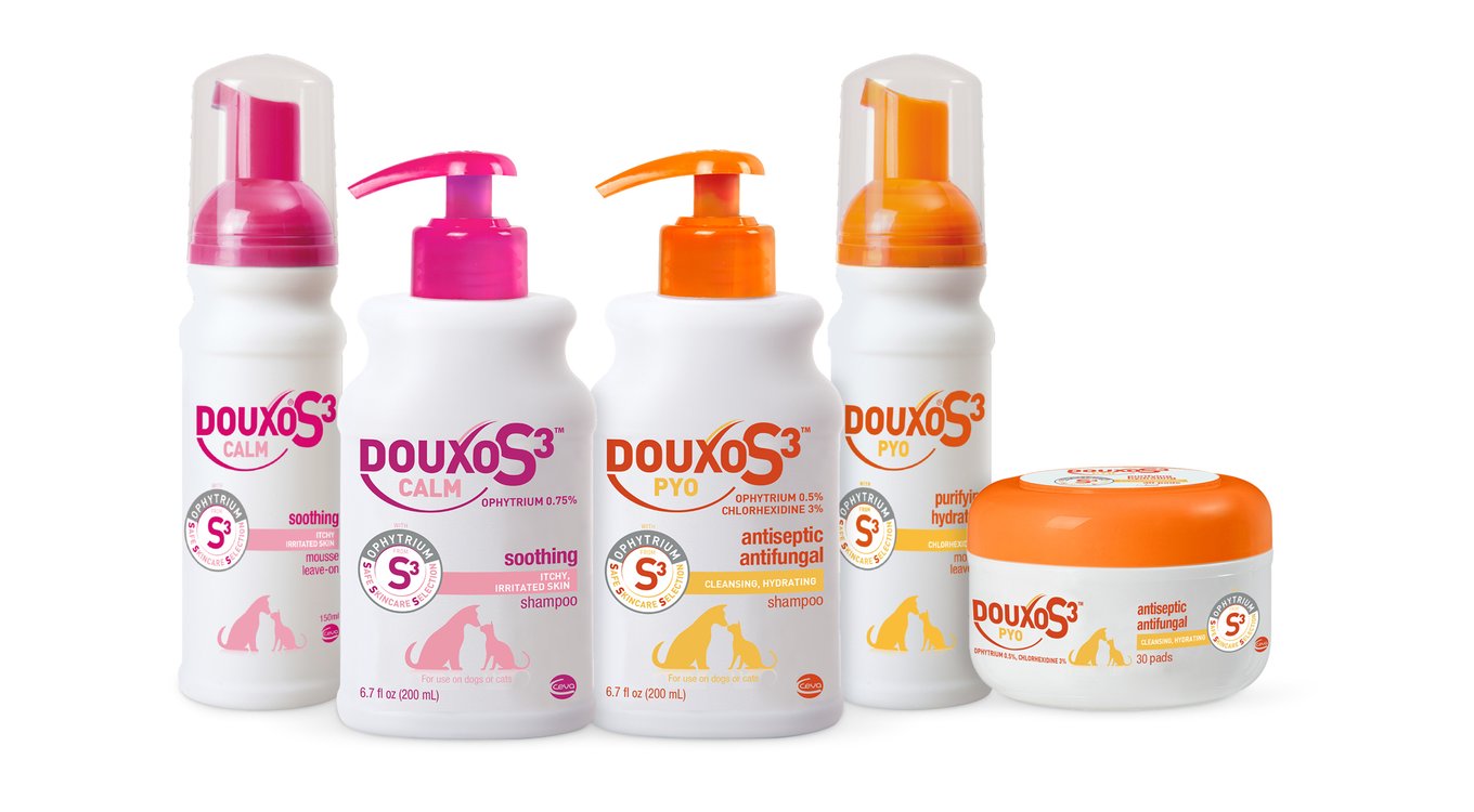 DOUXO S3 PYO Antiseptic Antifungal Chlorhexidine Dog Mousse, 5.1-oz ...