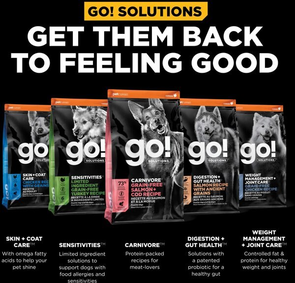 GO! SOLUTIONS Carnivore Grain-Free Salmon + Cod Recipe Dry Dog Food, 12 ...