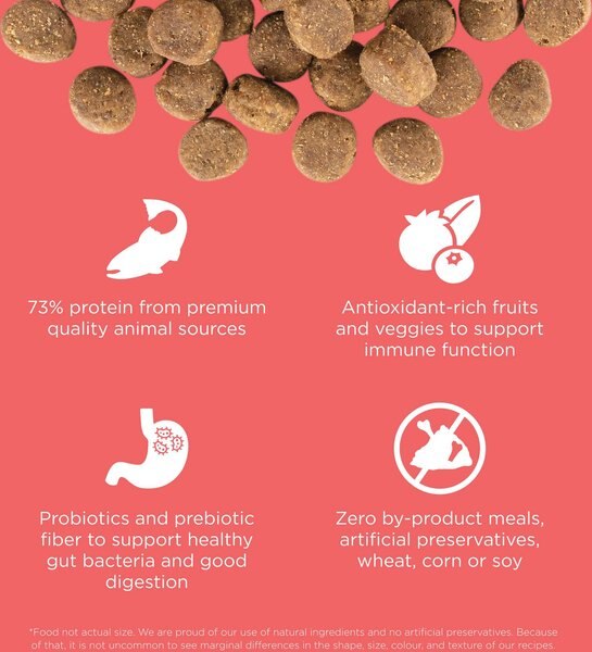 GO! SOLUTIONS Carnivore Grain-Free Salmon + Cod Recipe Dry Dog Food, 12 ...