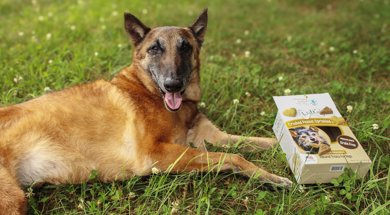 THE LAZY DOG COOKIE CO. Mutt Mallows Strawberry Smoochies Soft-Baked ...