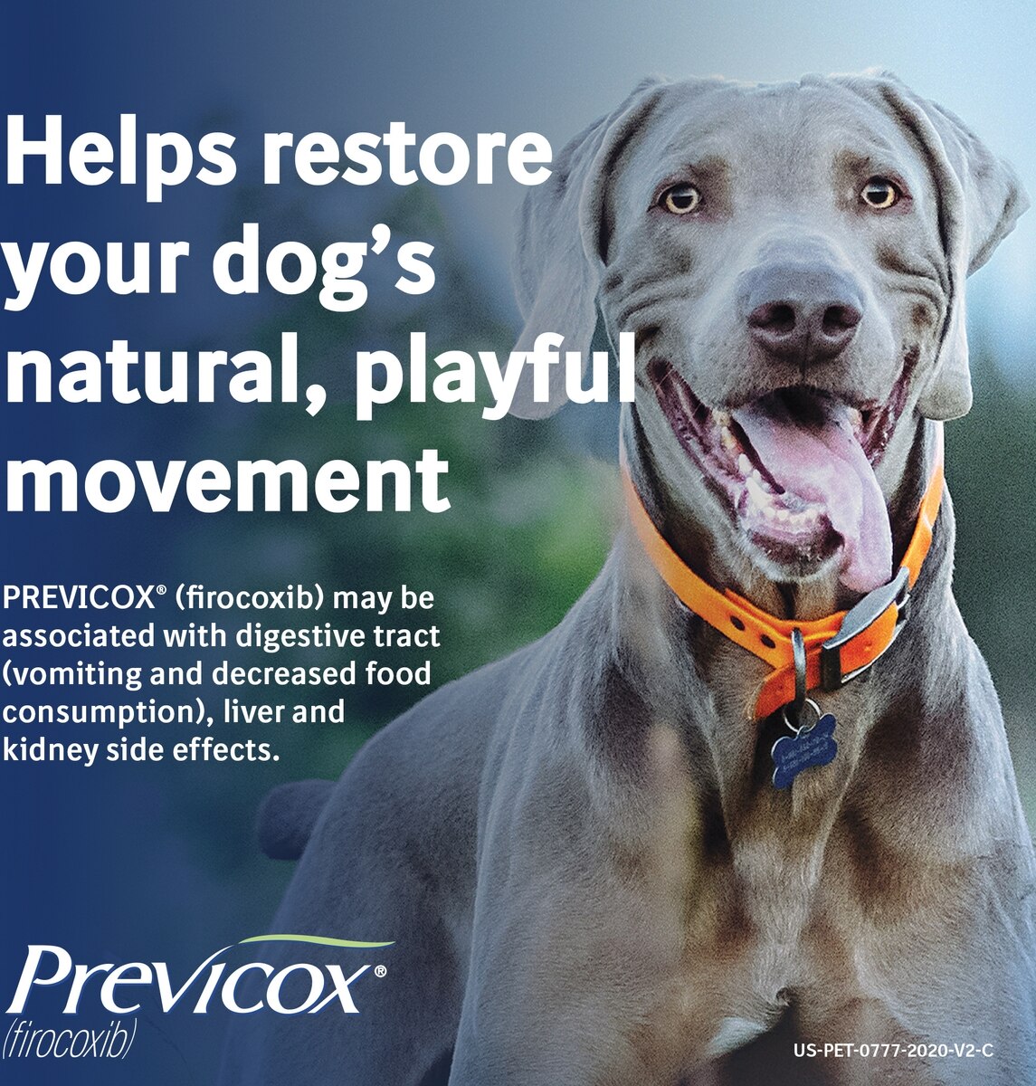 PREVICOX (Firocoxib) Chewable Tablets for Dogs, , 227-mg - Easy Refills ...