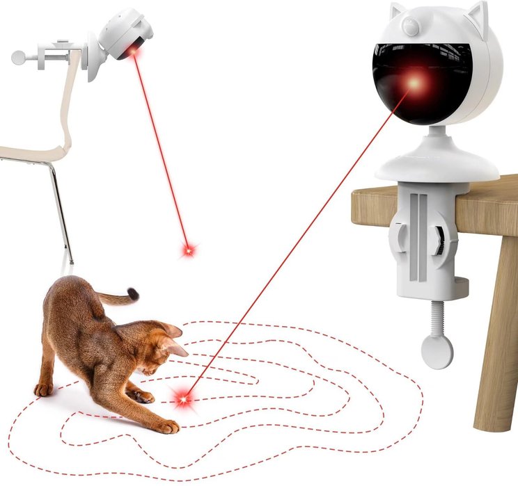 Cat Lasers: Laser Pointers & Toys for Cats (Free Shipping) | Chewy